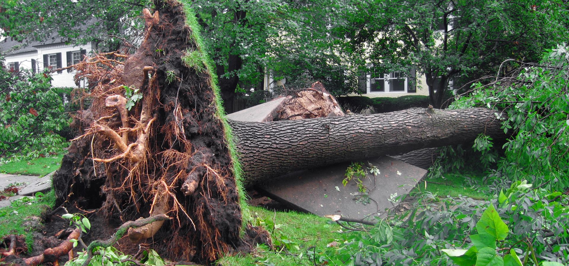 Disasters Clean Up | Midwest Building Solutions
